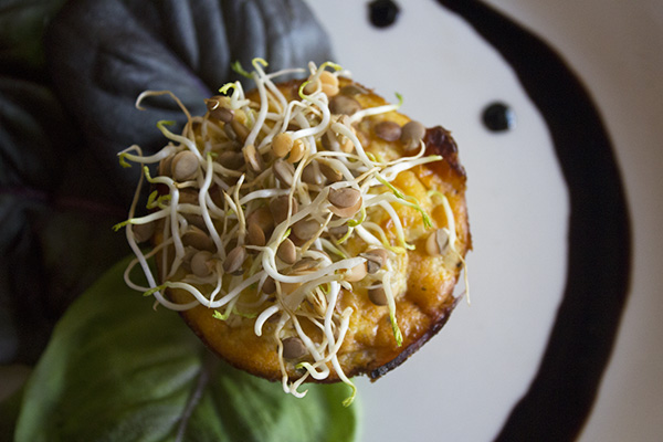 Mini Savoury Quiche Aninas Recipes